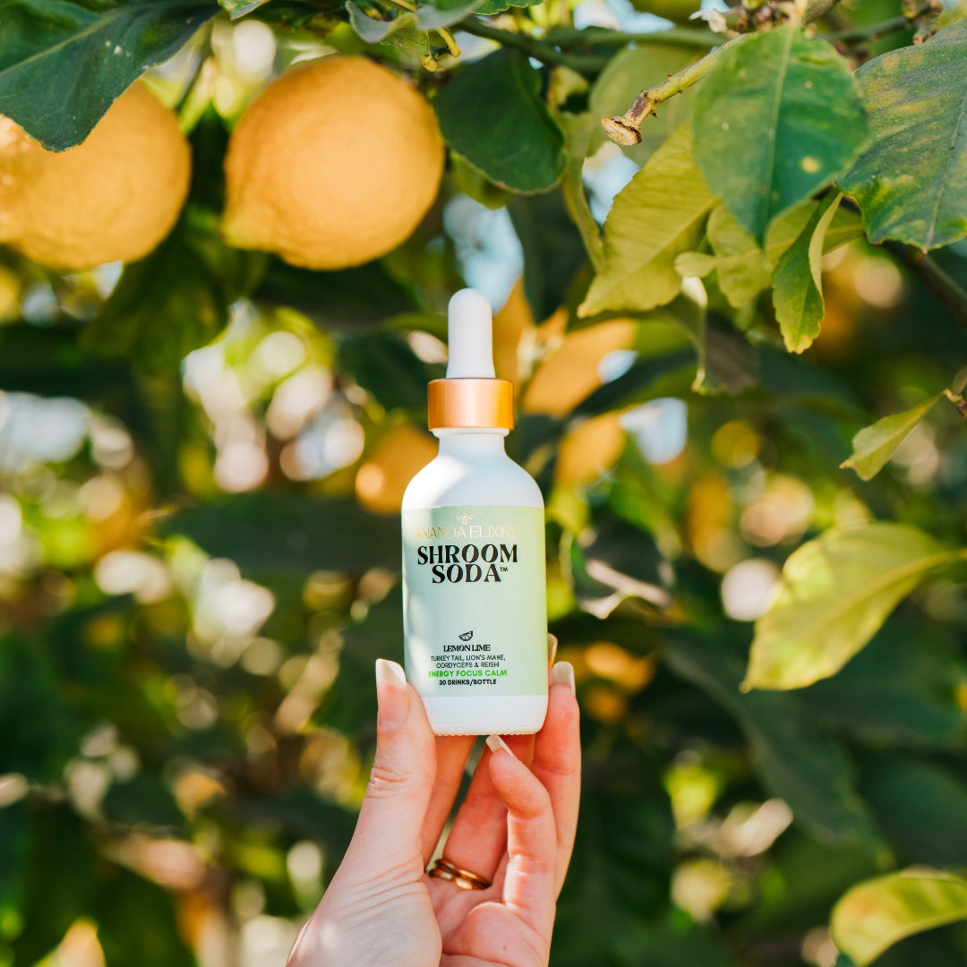 Shroom Soda® – Ananda Elixirs
